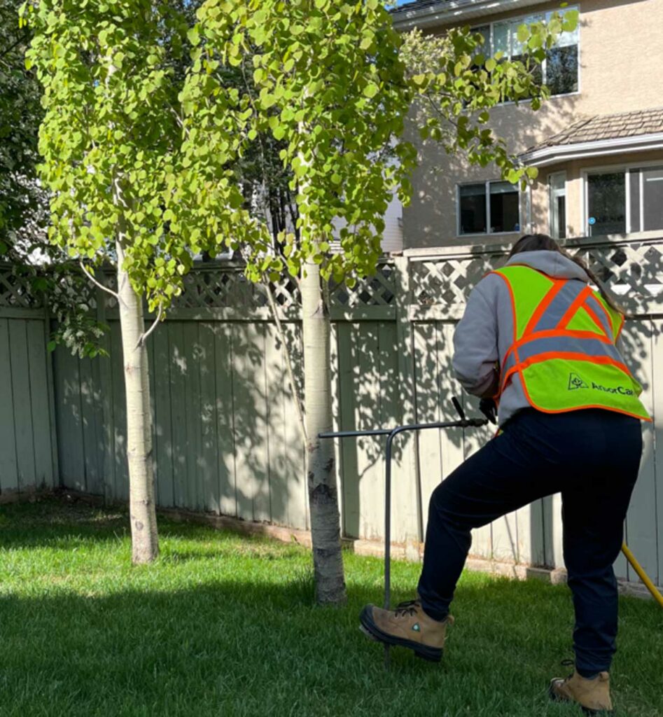 Organic Tree And Lawn Care Products: What You Need To Know - ArborCare