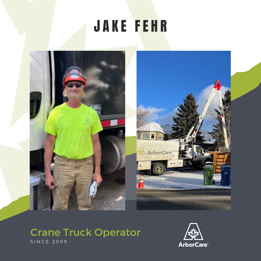 Jake Fehr | Employee Spotlight - ArborCare®
